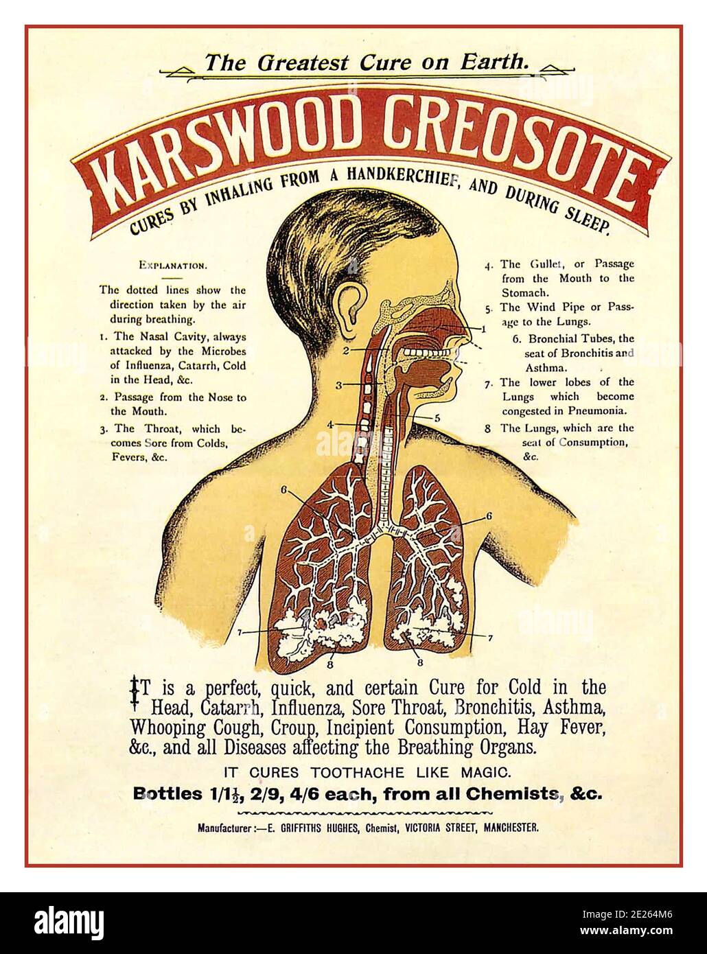 Vintage 1900s advertising poster for karswood creosote hi-res stock ...