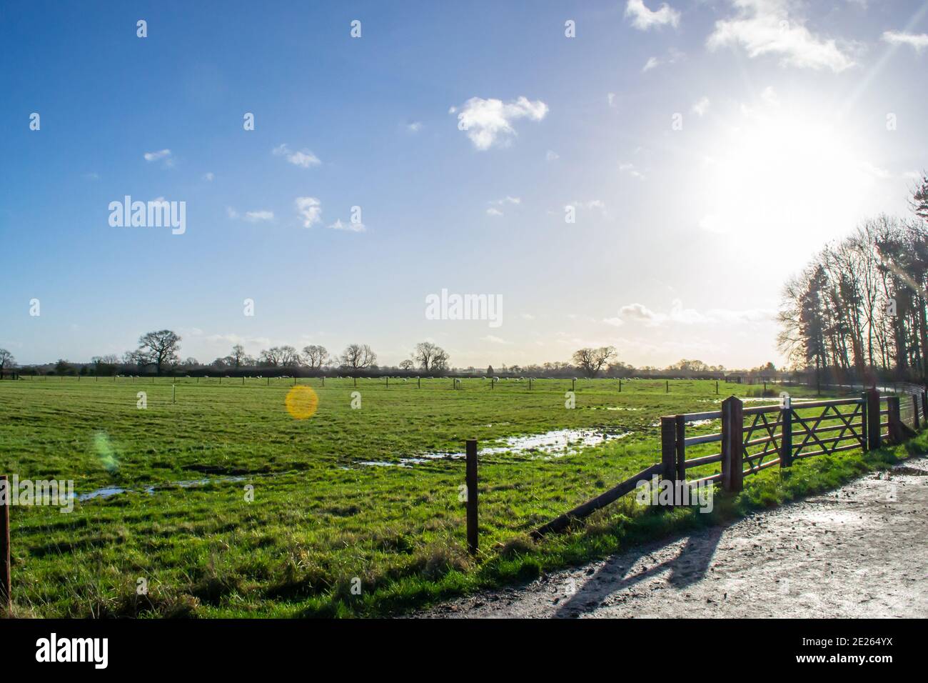 Green field in Exton, Rutland, England Stock Photo - Alamy