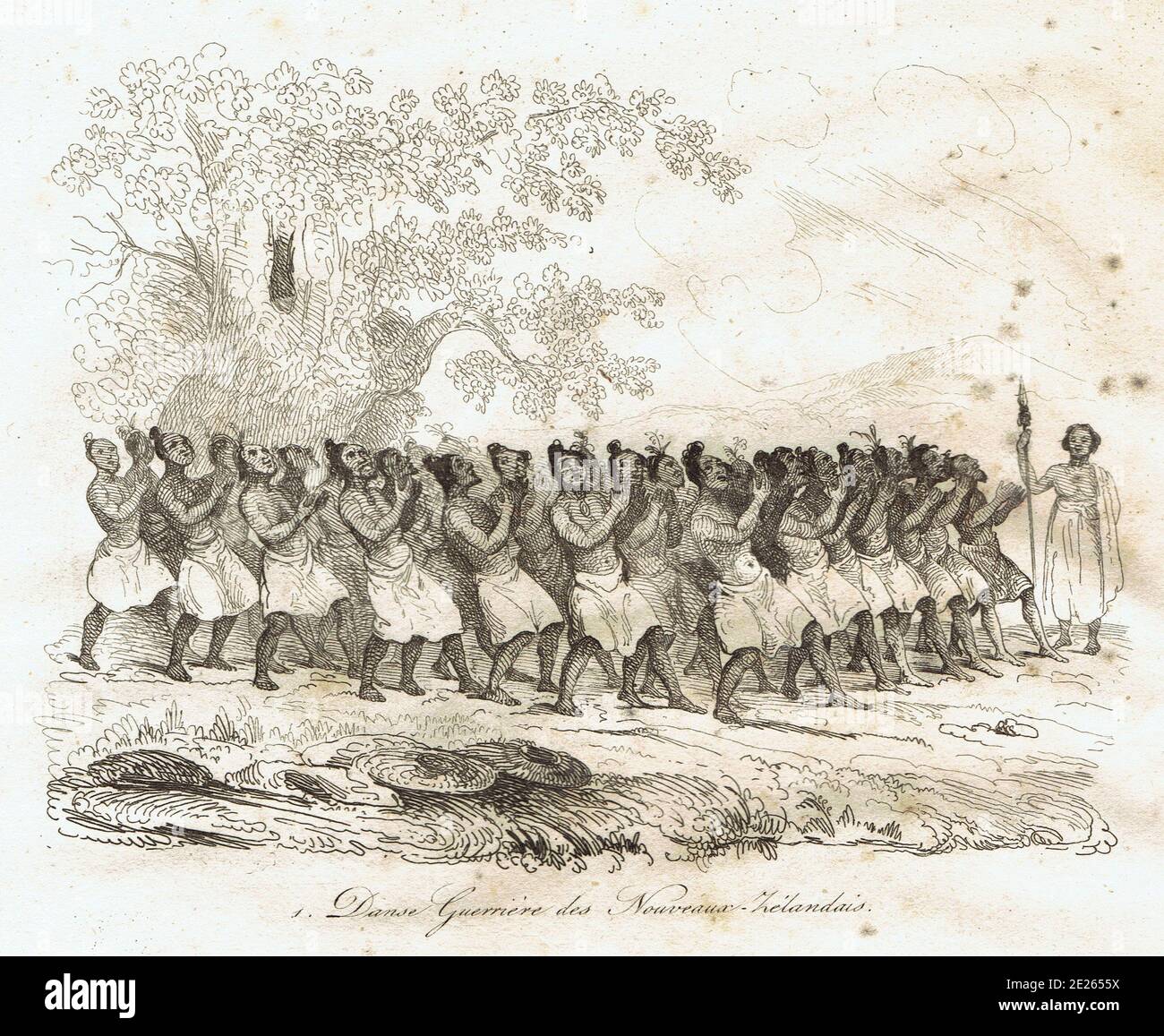 haka, danse des guerriers de Nouvelle-Zélande Stock Photo - Alamy