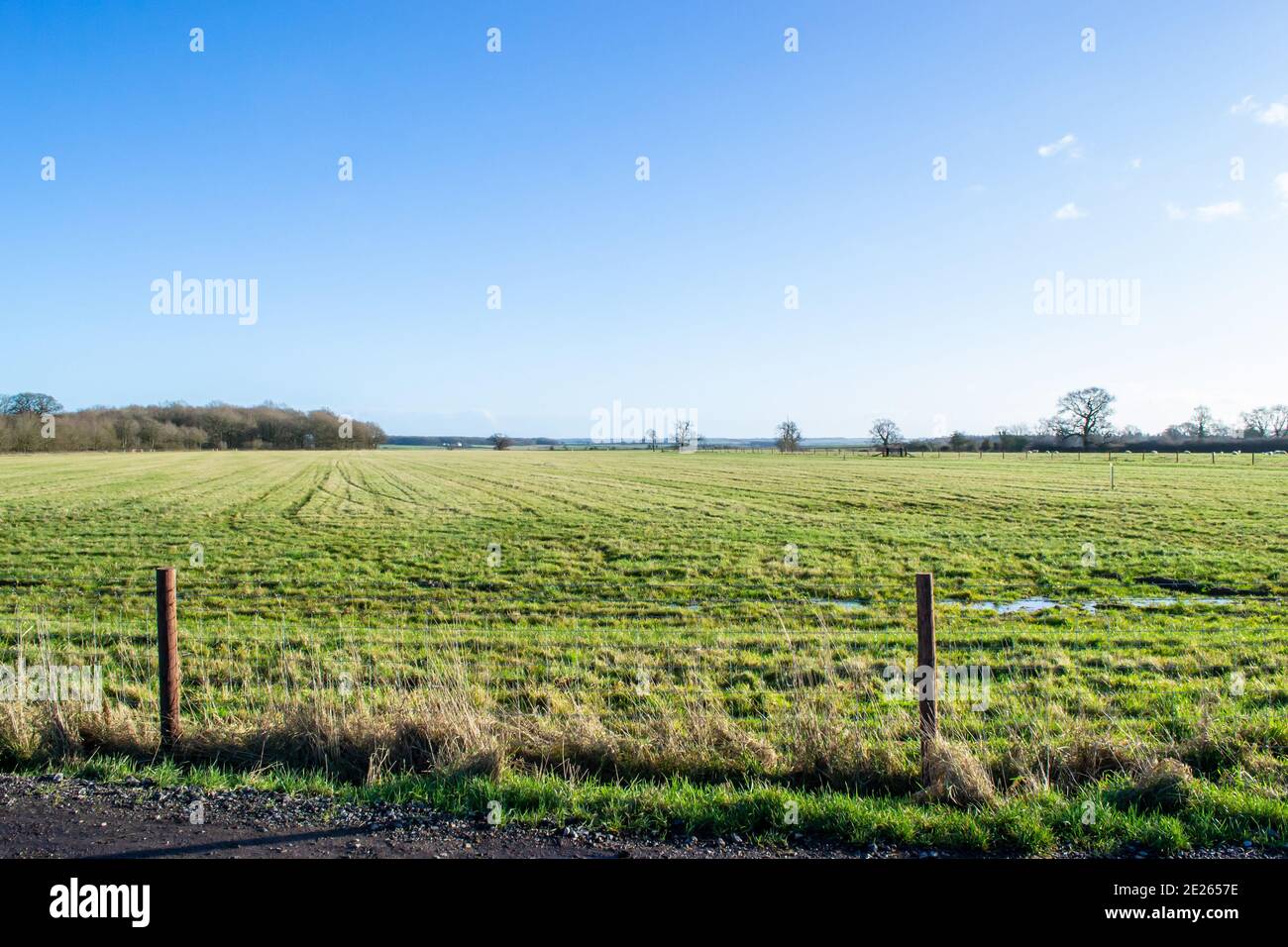 Green field in Exton, Rutland, England Stock Photo - Alamy