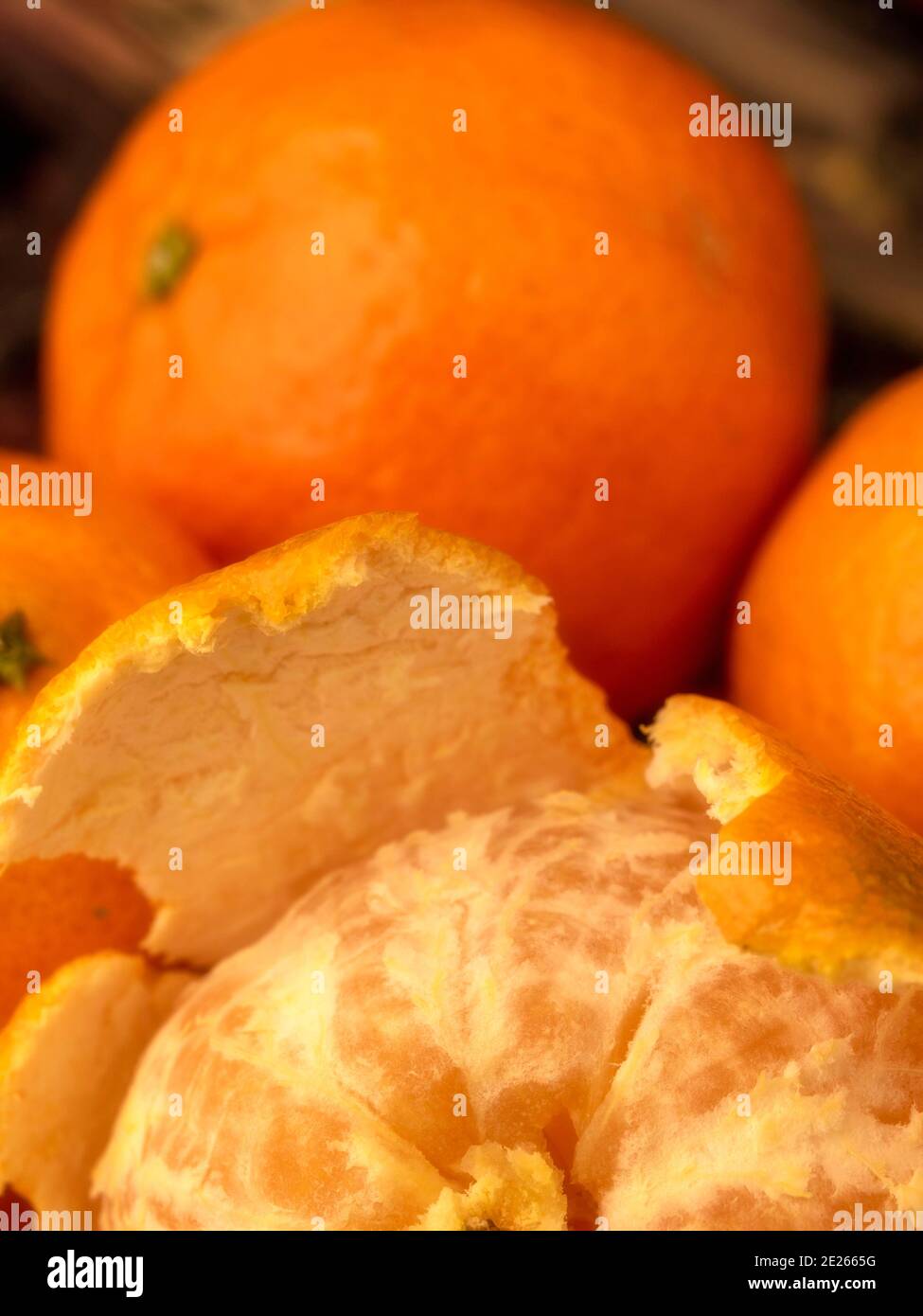 Tangier morocco garden hi-res stock photography and images - Alamy