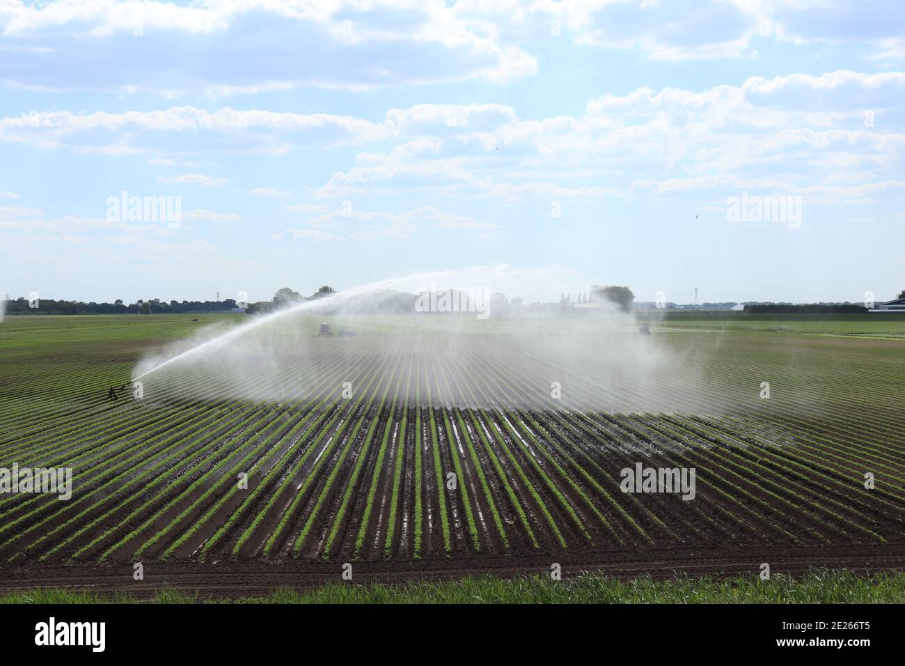 Irrigated crops hi-res stock photography and images - Alamy