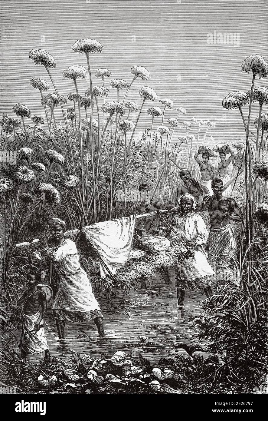 David Livingstone being carried on a makeshift stretcher through the ...