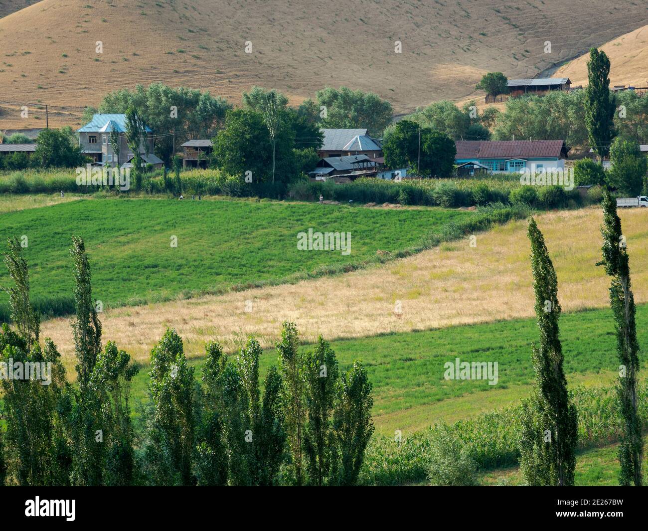Ferghana valley agriculture hi-res stock photography and images - Alamy