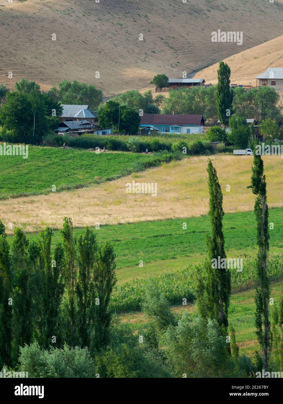 Ferghana valley agriculture hi-res stock photography and images - Alamy