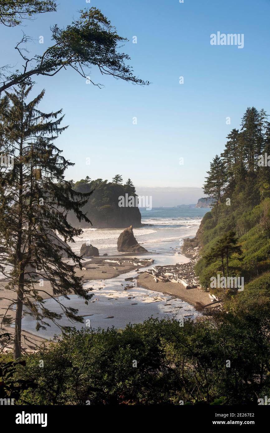 Ruby beach trail hi-res stock photography and images - Alamy
