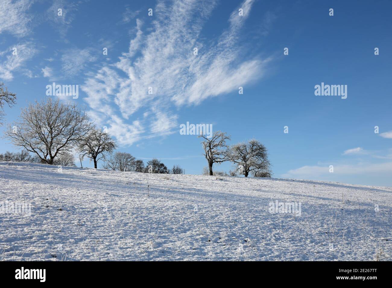 Winter landscape with snowy fields and blue sky Stock Photo - Alamy