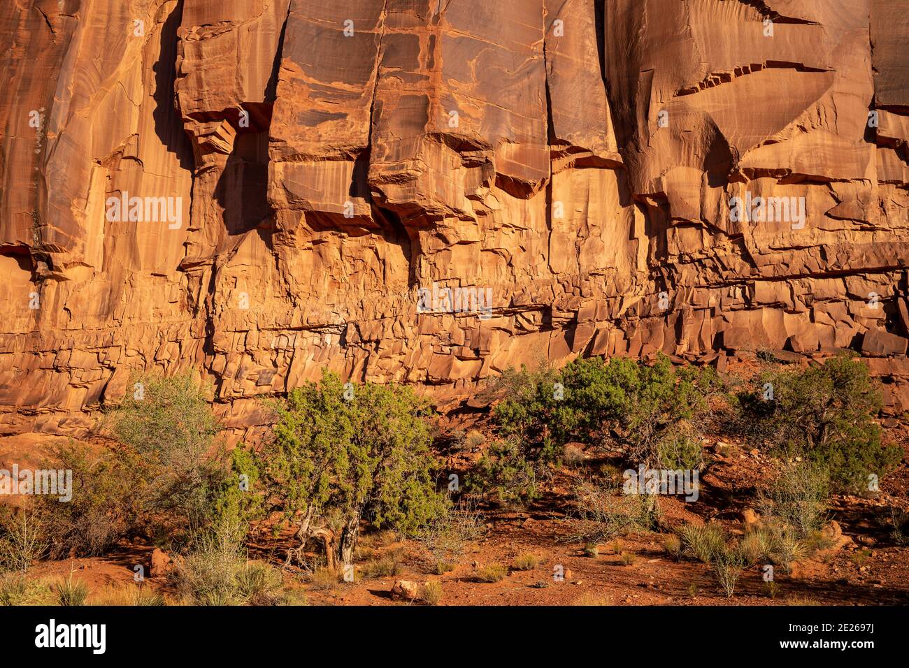 Red sandstone rock formations in the area of Rain God Mesa and ...