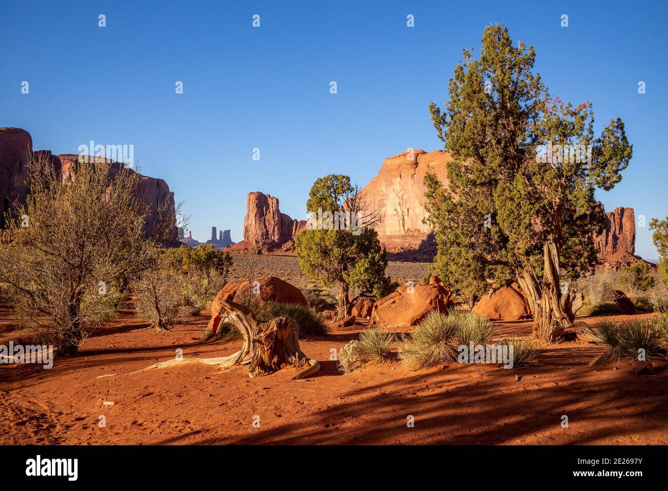 Rock formations and trees around red sandstone rocks, Rain God Mesa and ...