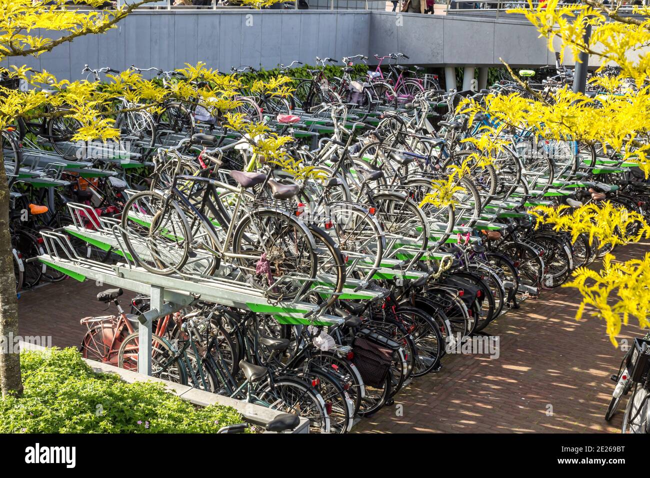 ROTTERDAM, NETHERLANDS: bicycle storage, park, at Blaak railway station ...
