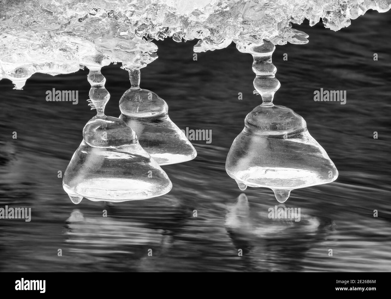 Icicles hanging from ice ledge over Eagle River in Chugach State Park ...