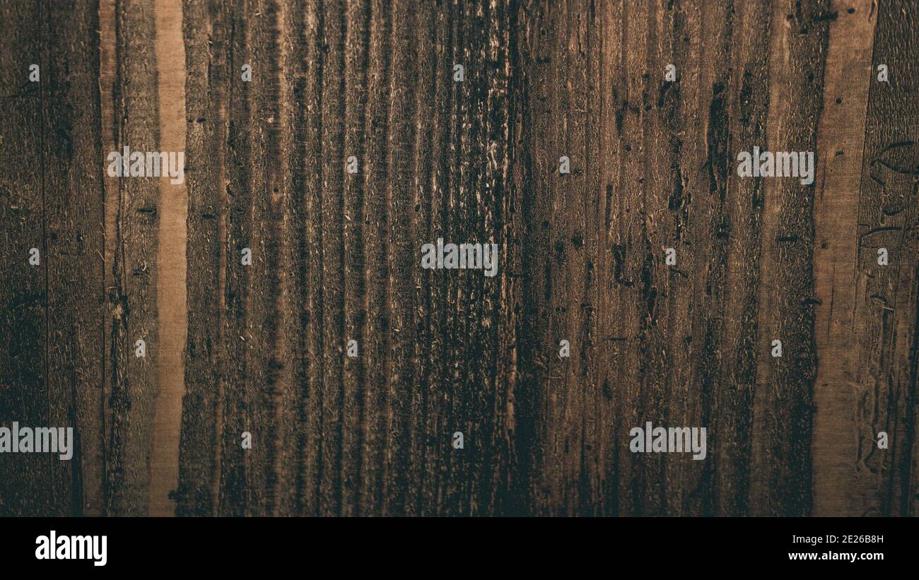 Walnut texture, chocolate-colored wood, walnut furniture fittings. Wood ...