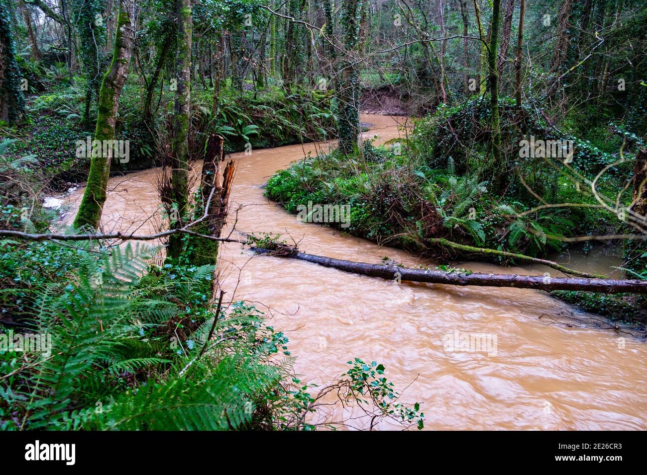 river in flood Stock Photo - Alamy