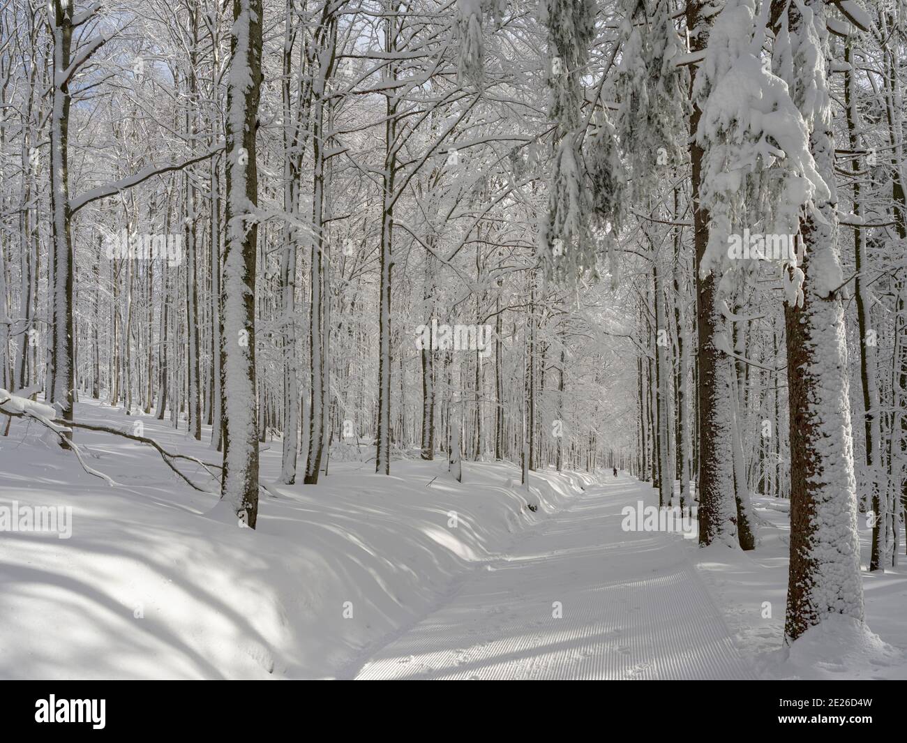 Bayerischer wald hiking hi-res stock photography and images - Alamy