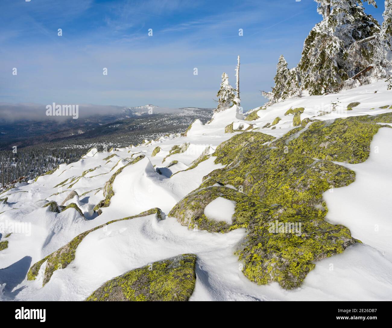 View from peak of Mount Lusen. Winter at Mount Lusen in National Park ...