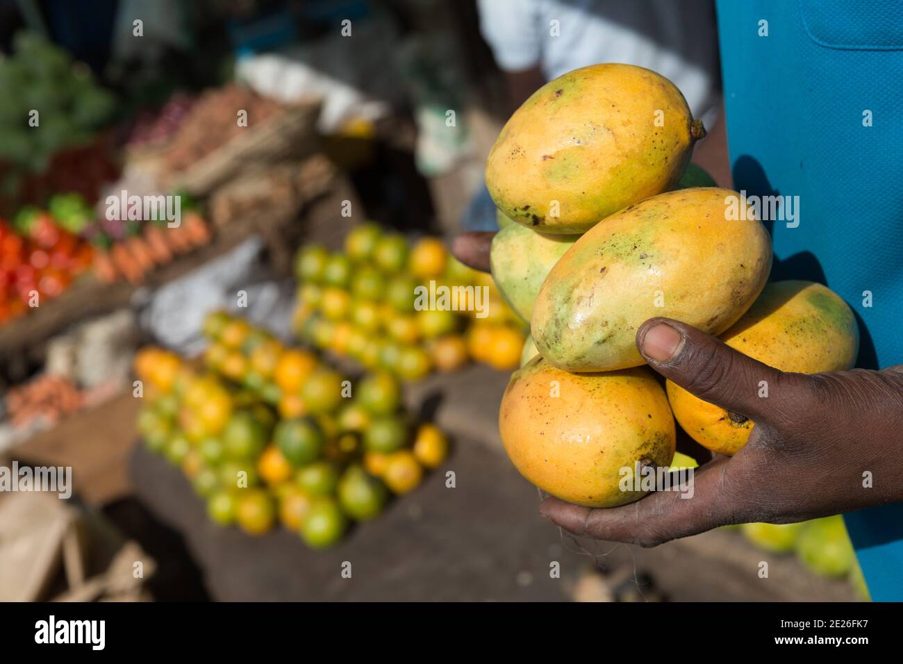 Male torso with hands holding mangoes at a mango stand in market Stock ...