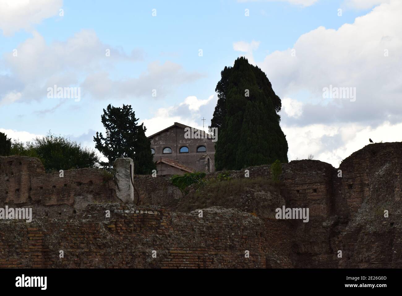 Basilica giulia roma hi-res stock photography and images - Alamy