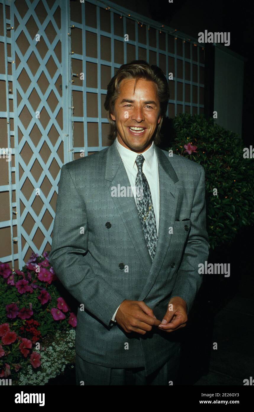 Don Johnson 1987 Credit: Ralph Dominguez/MediaPunch Stock Photo - Alamy