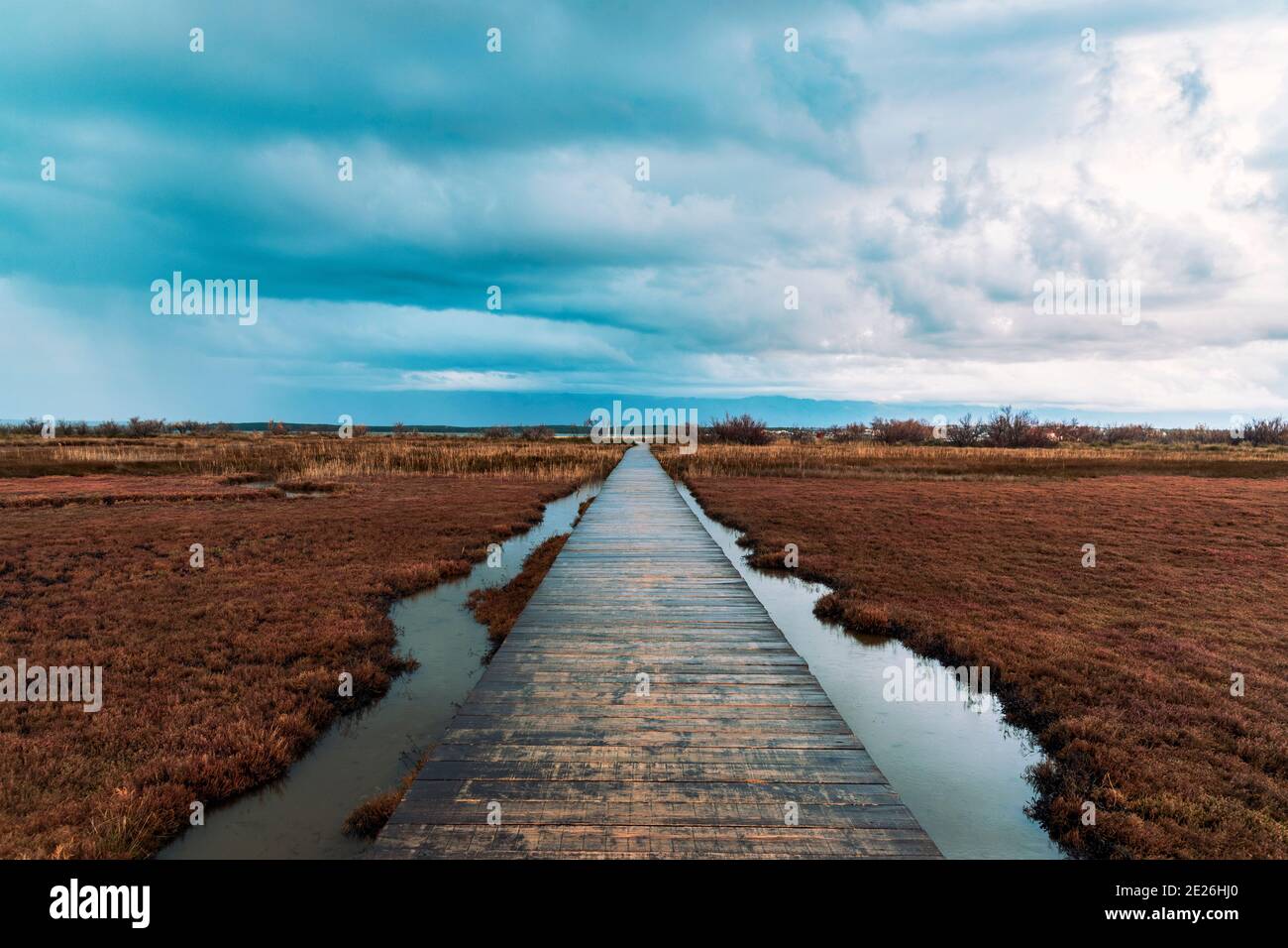Boardwalk through flooded space in rainy weather, autumn Stock Photo ...