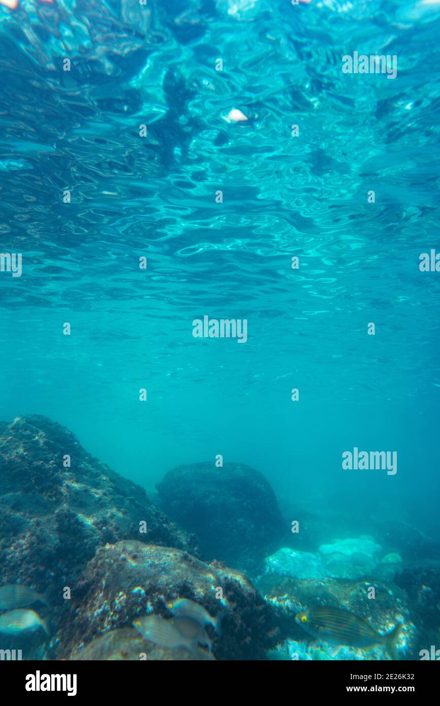 Rocky seabed hi-res stock photography and images - Alamy