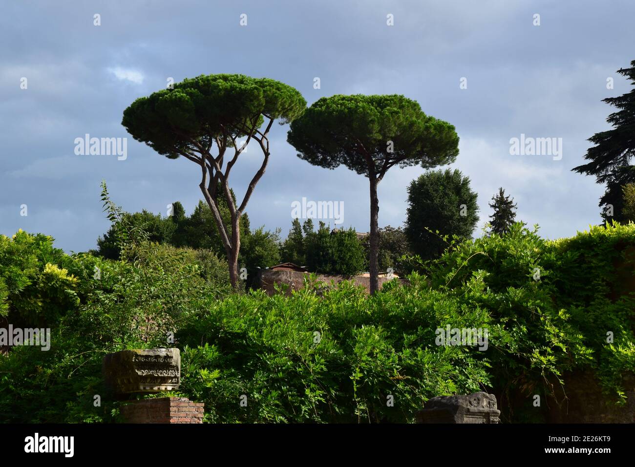 Roman Forum in Rome, Italy Stock Photo - Alamy