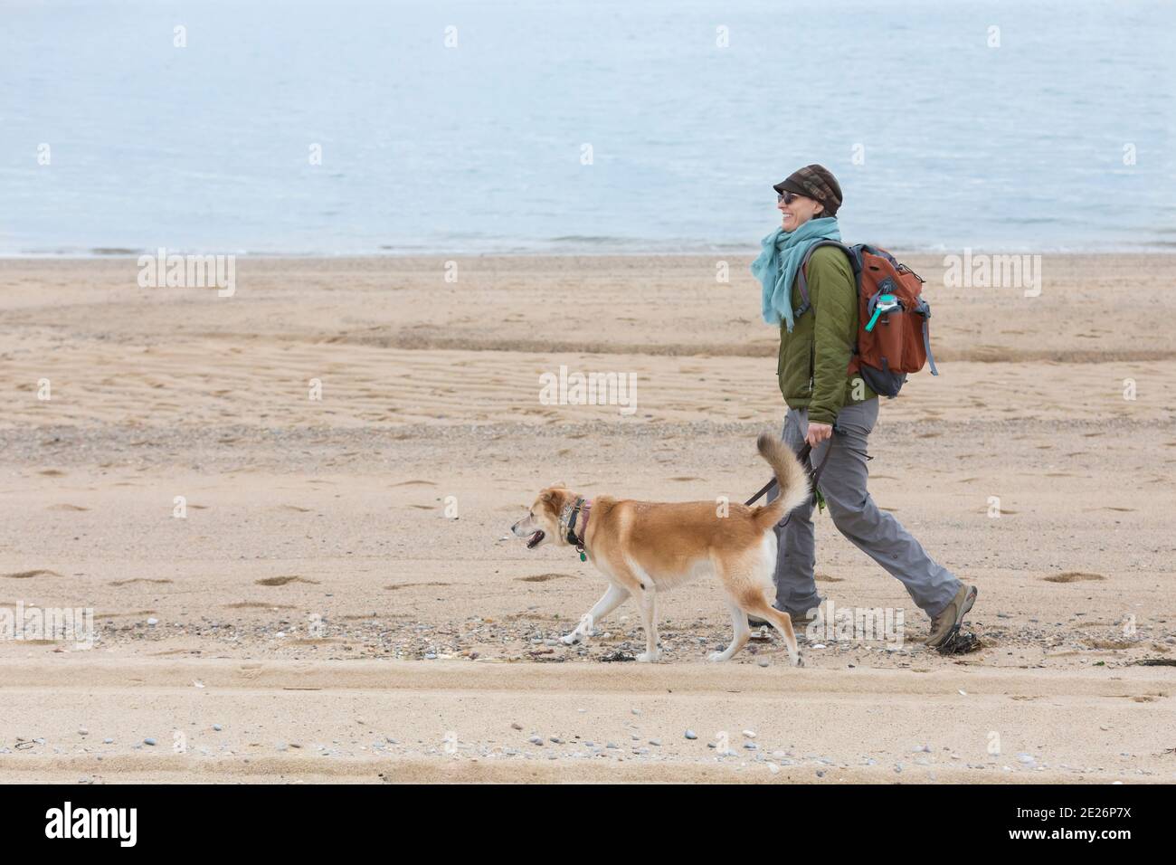 A woman walks her dog on a leash on the beach in Provincetown, MA Stock ...