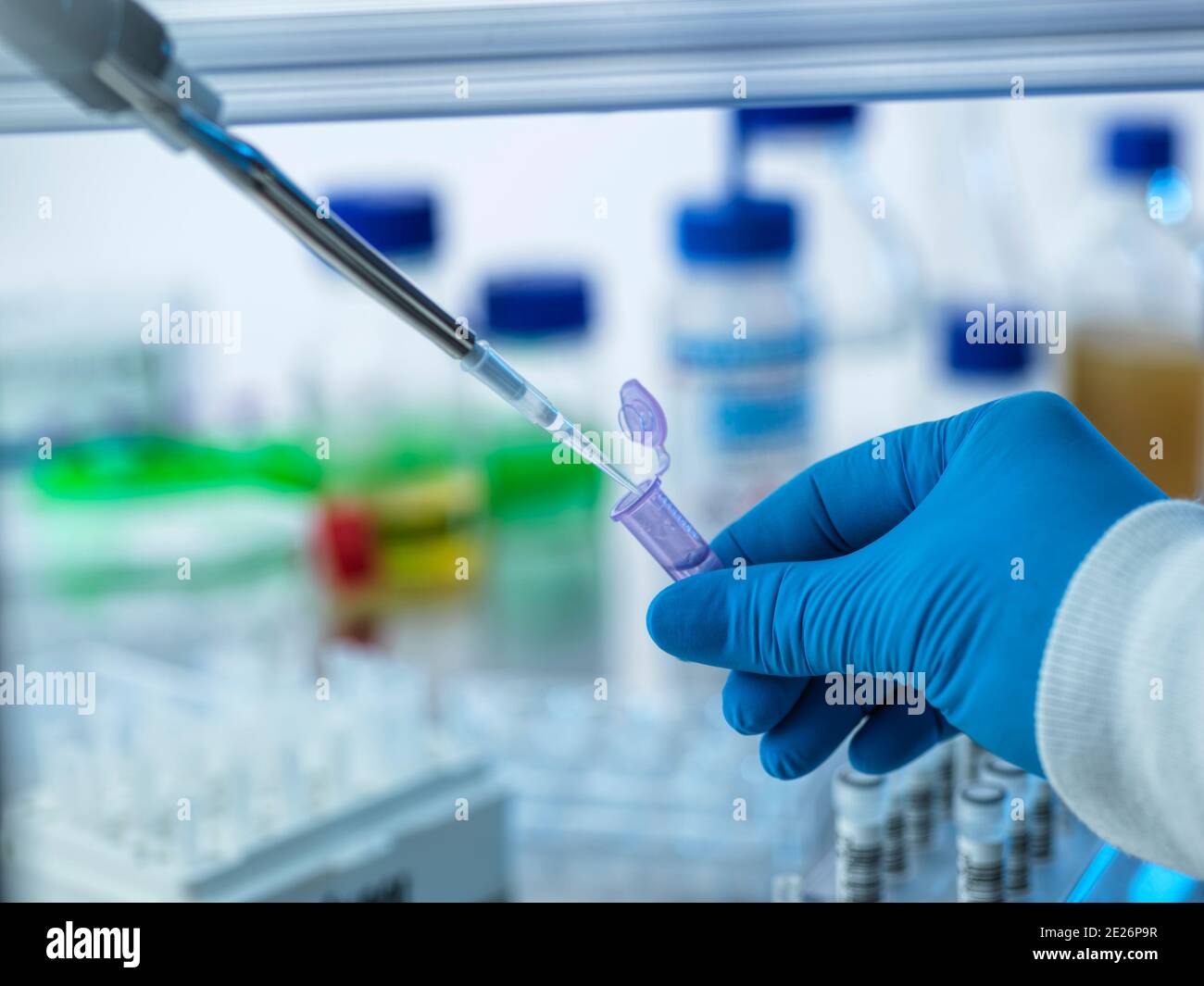 DNA, Scientist pipetting a DNA sample into a vial ready for testing ...