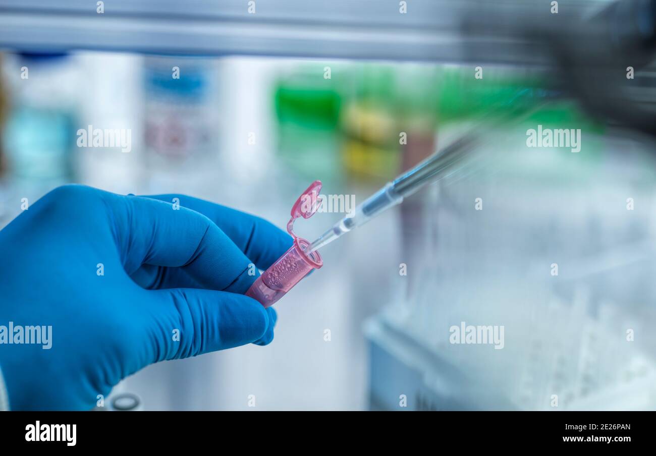 Laboratory pipetting measuring hi-res stock photography and images - Alamy