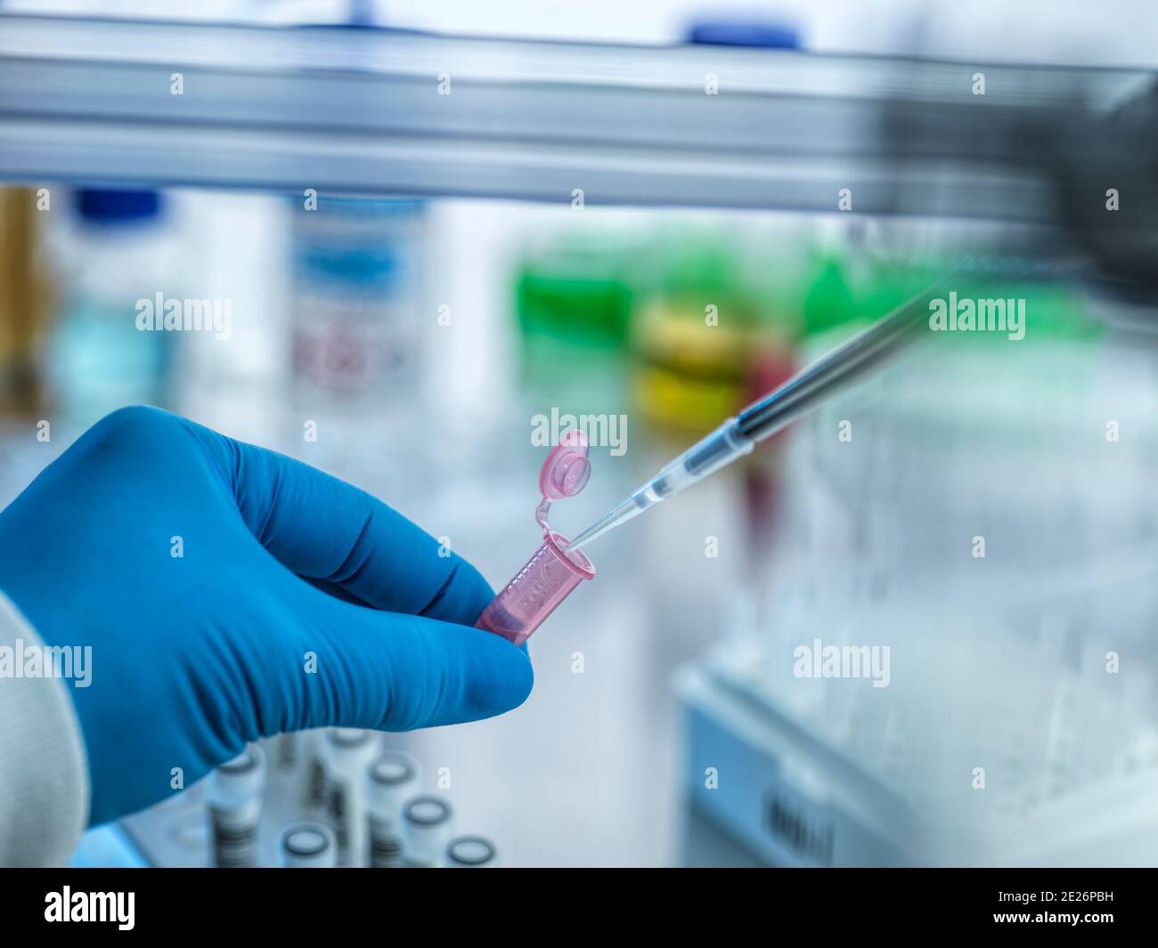 Biotechnology, Pipetting sample into a vial during an experiment Stock ...