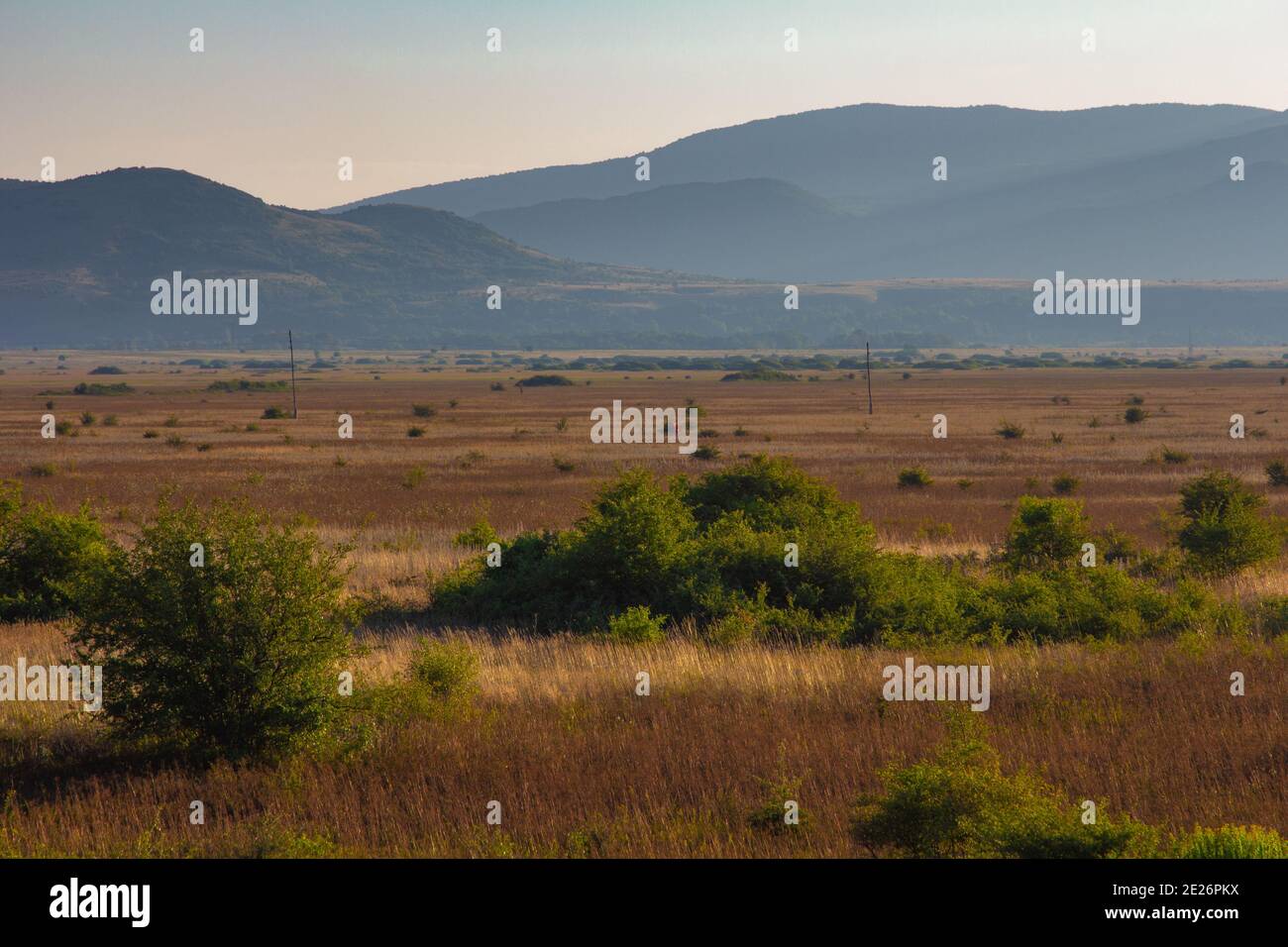 Shrubland field with mountains in the distance Stock Photo - Alamy