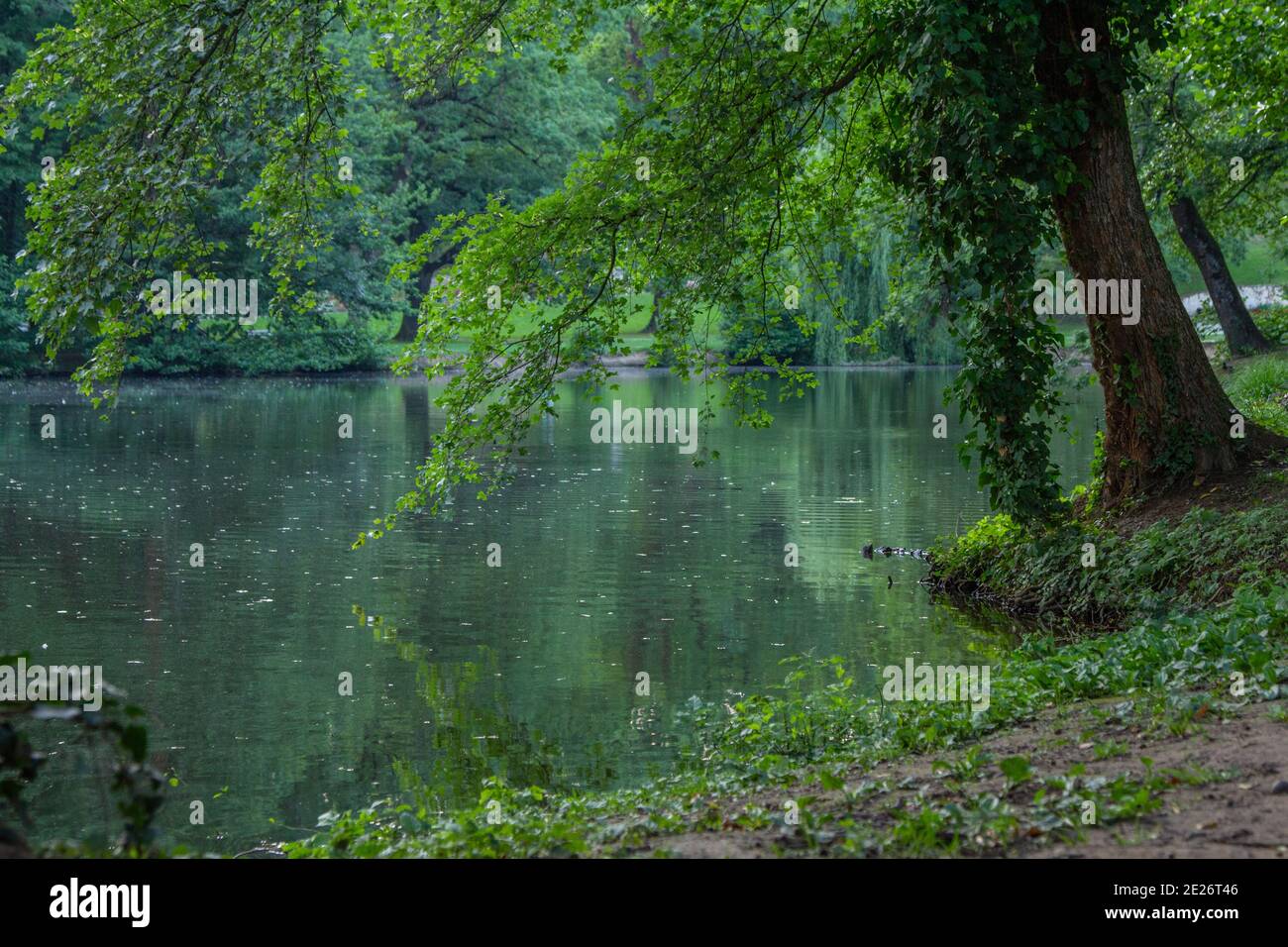 Lake shor hi-res stock photography and images - Alamy