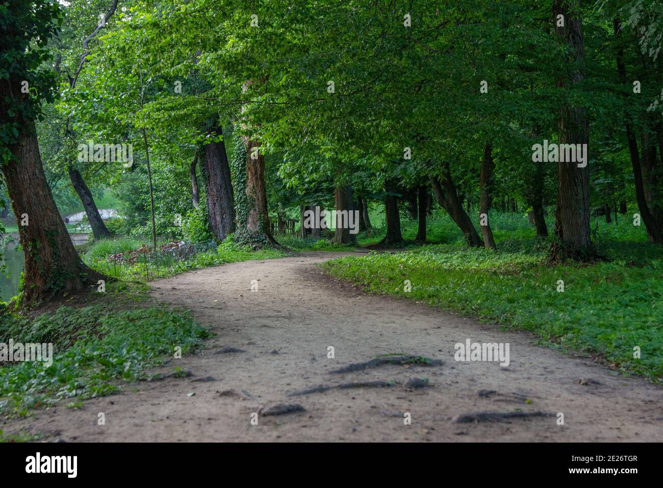 A scene from a public park in spring Stock Photo - Alamy