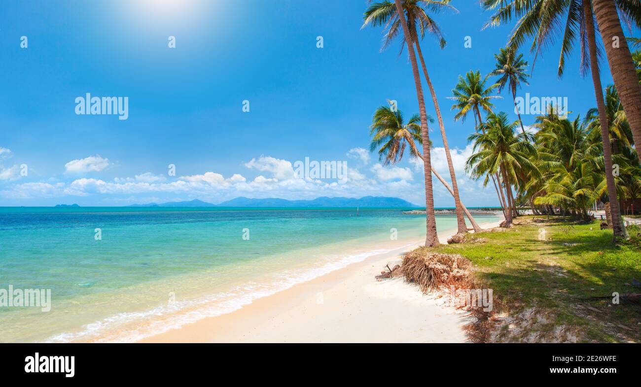 tropical beach with coconut palm tree Stock Photo - Alamy