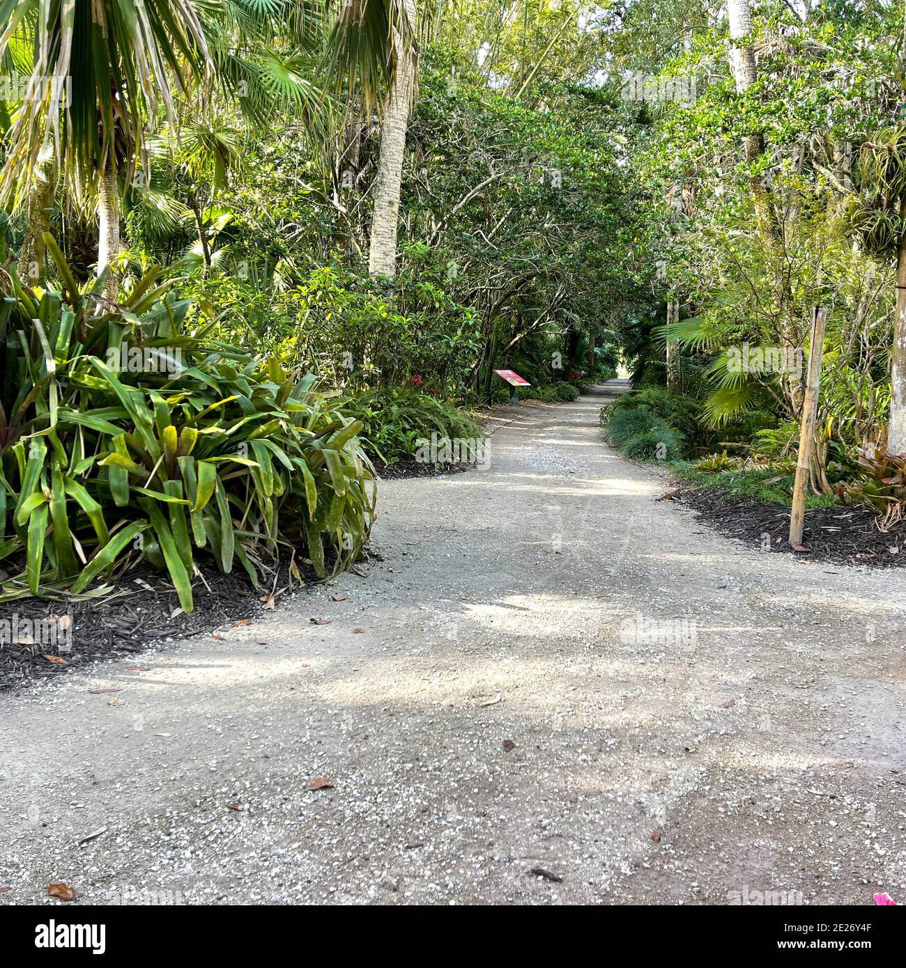 A curved rock walking trail through a tropical botanical garden in ...