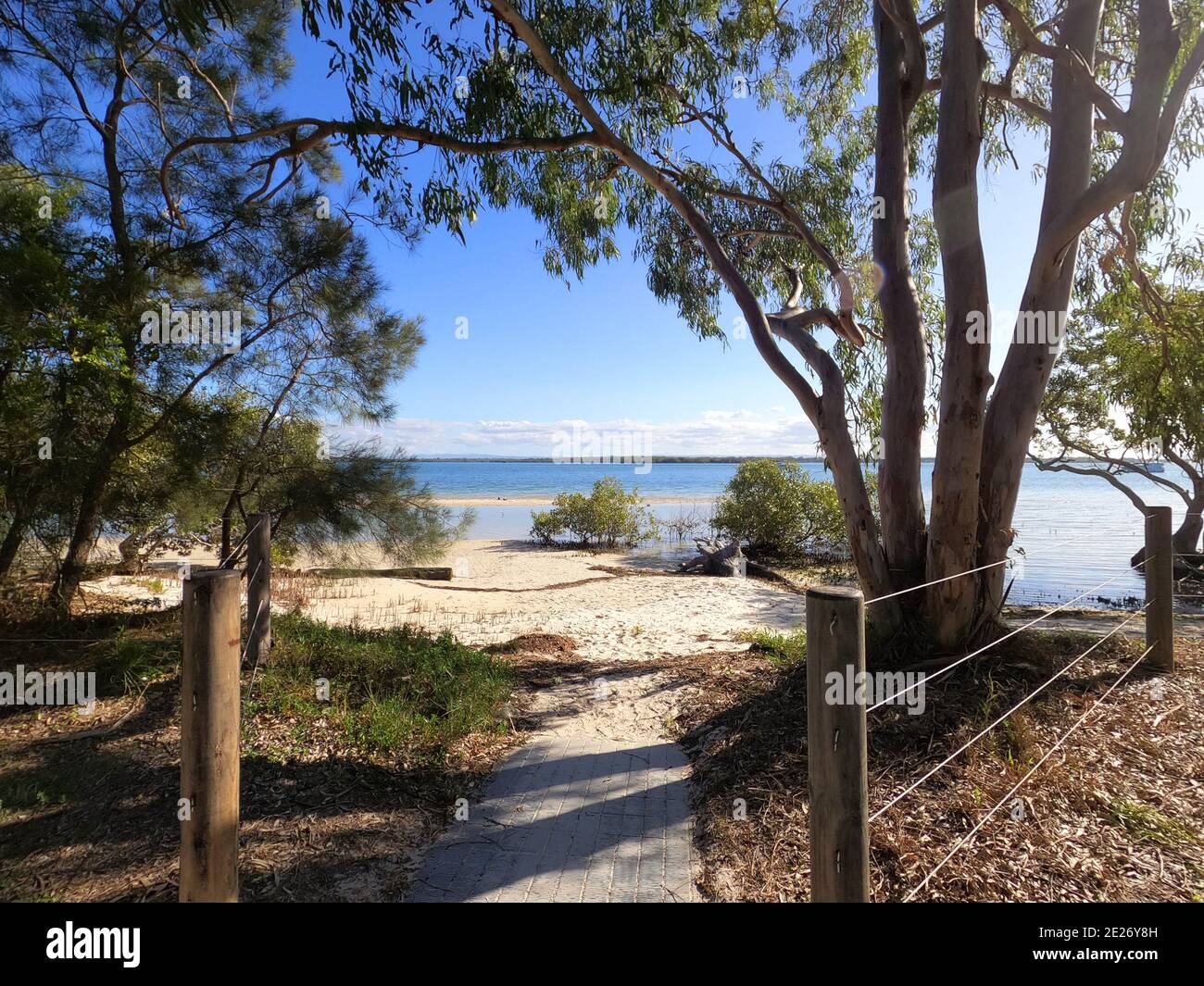Path through trees to beach hi-res stock photography and images - Alamy