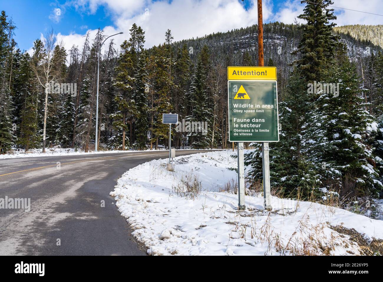 Wildlife in area warning sign. Mount Norquay Scenic Drive mountain road ...