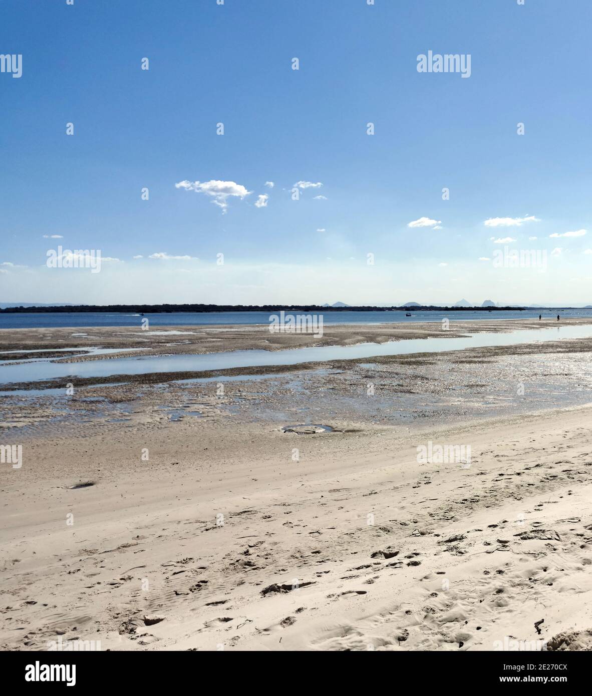 Vertical shot of a scenic sandy beach with a blue skyscape in the ...