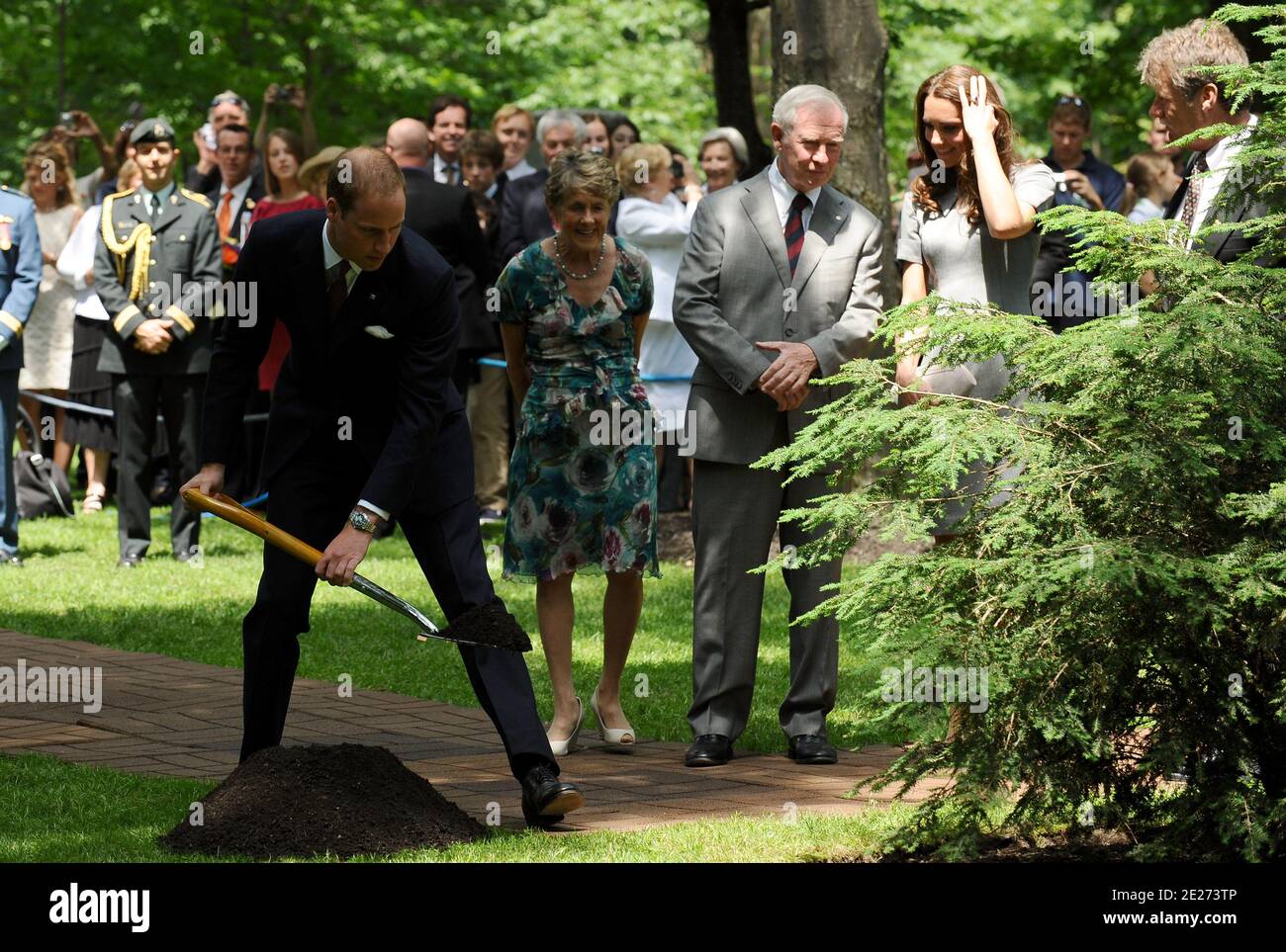 Ontario tree planting hi-res stock photography and images - Alamy