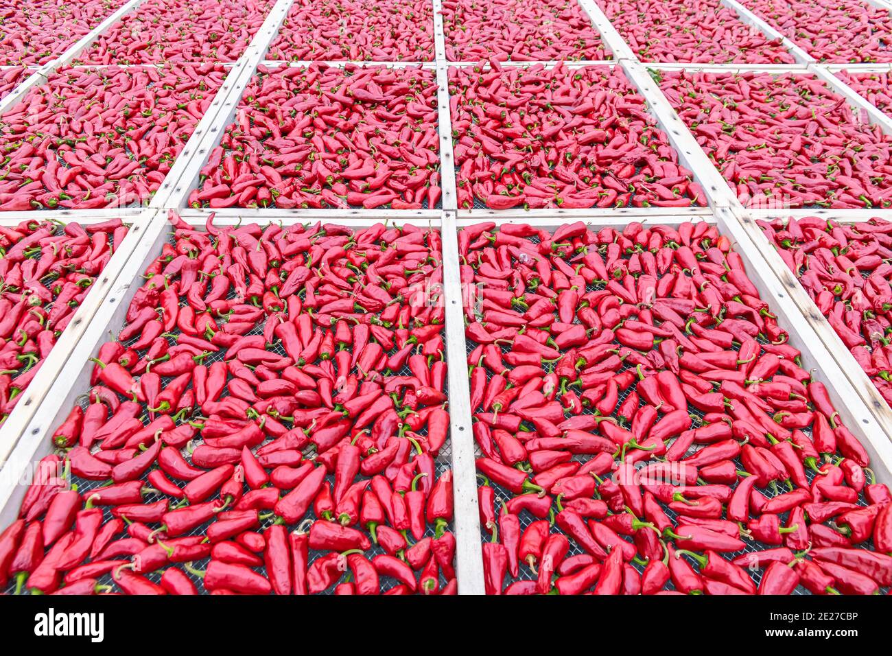 Traditional Chilli Drying High Resolution Stock Photography and Images ...