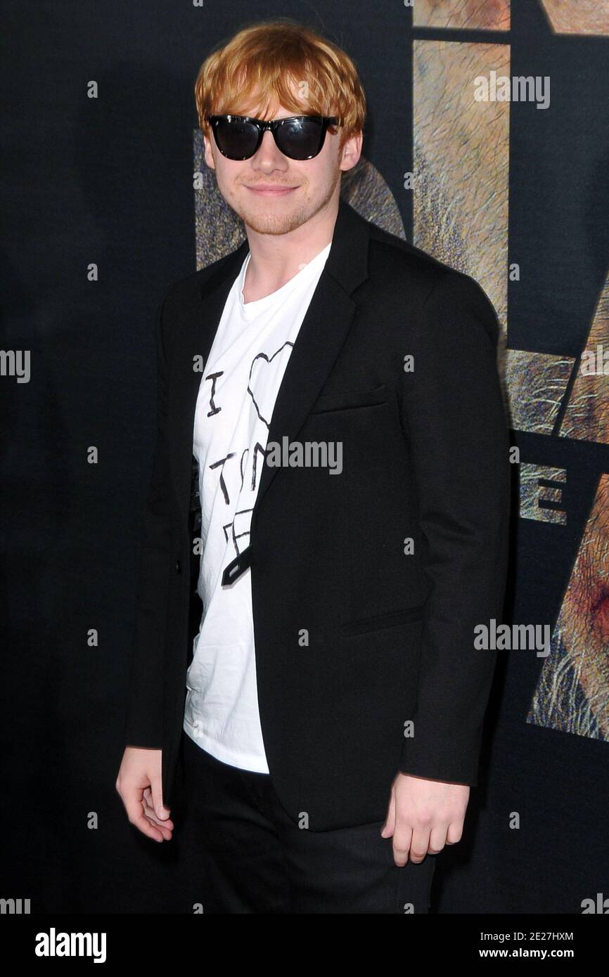 Rupert Grint arriving for the Los Angeles Premiere of 'Rise of the ...