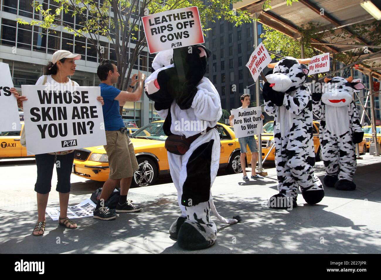A herd of PETA members dressed in cow costumes protest leather goods in ...