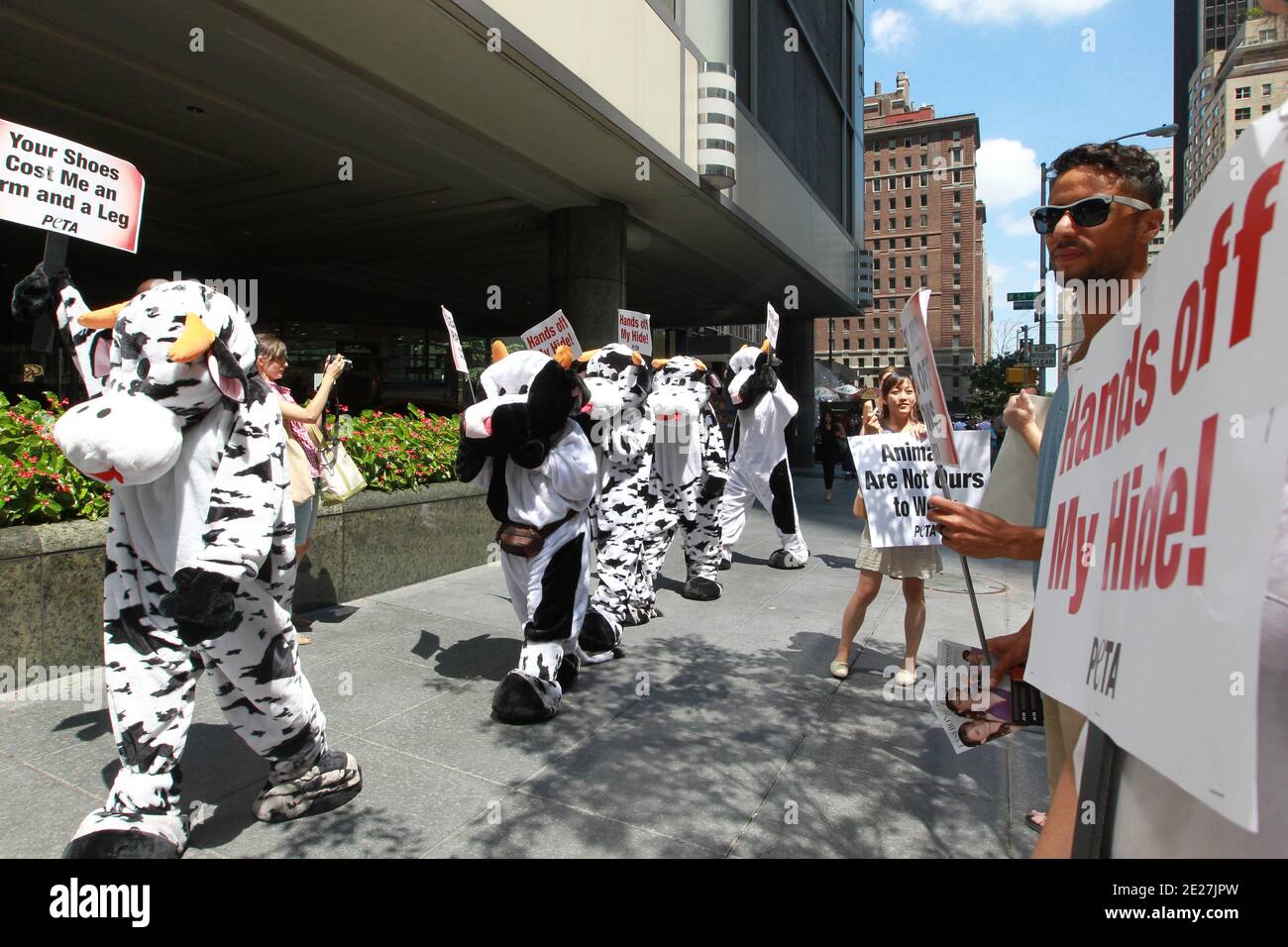 A herd of PETA members dressed in cow costumes protest leather goods in ...