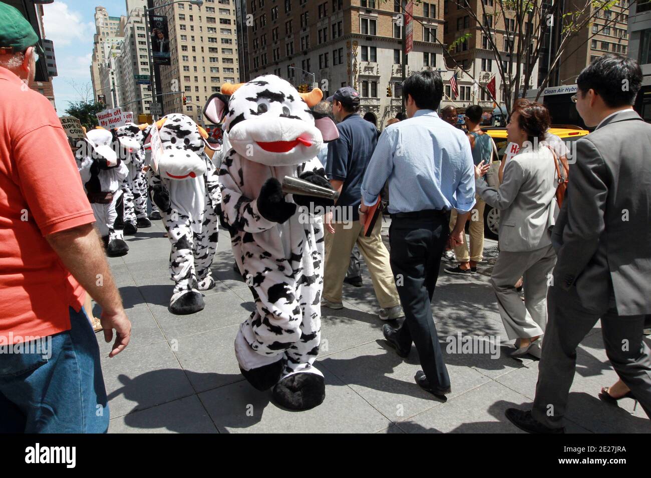 A herd of PETA members dressed in cow costumes protest leather goods in ...