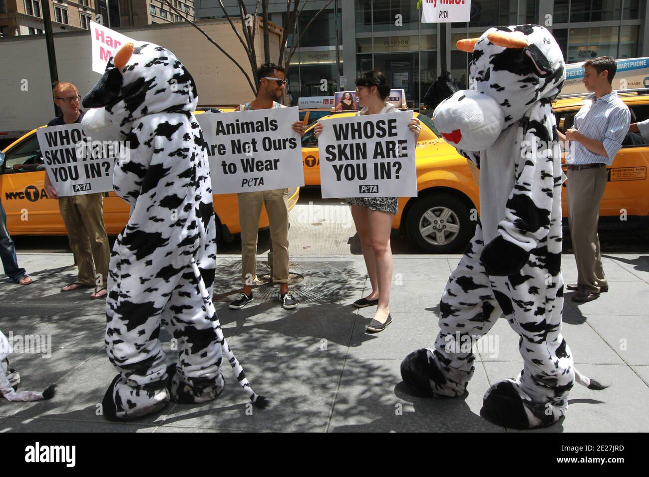 A herd of PETA members dressed in cow costumes protest leather goods in ...