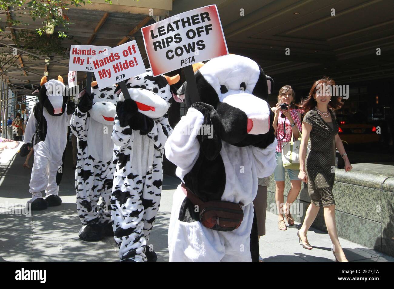 A herd of PETA members dressed in cow costumes protest leather goods in ...