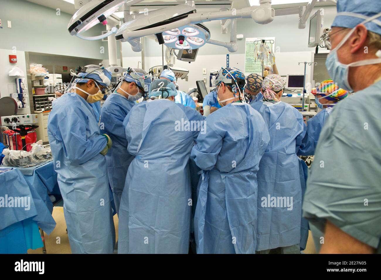 Charla Nash, 57, who was mauled by a chimpanzee in Connecticut in 2009 ...