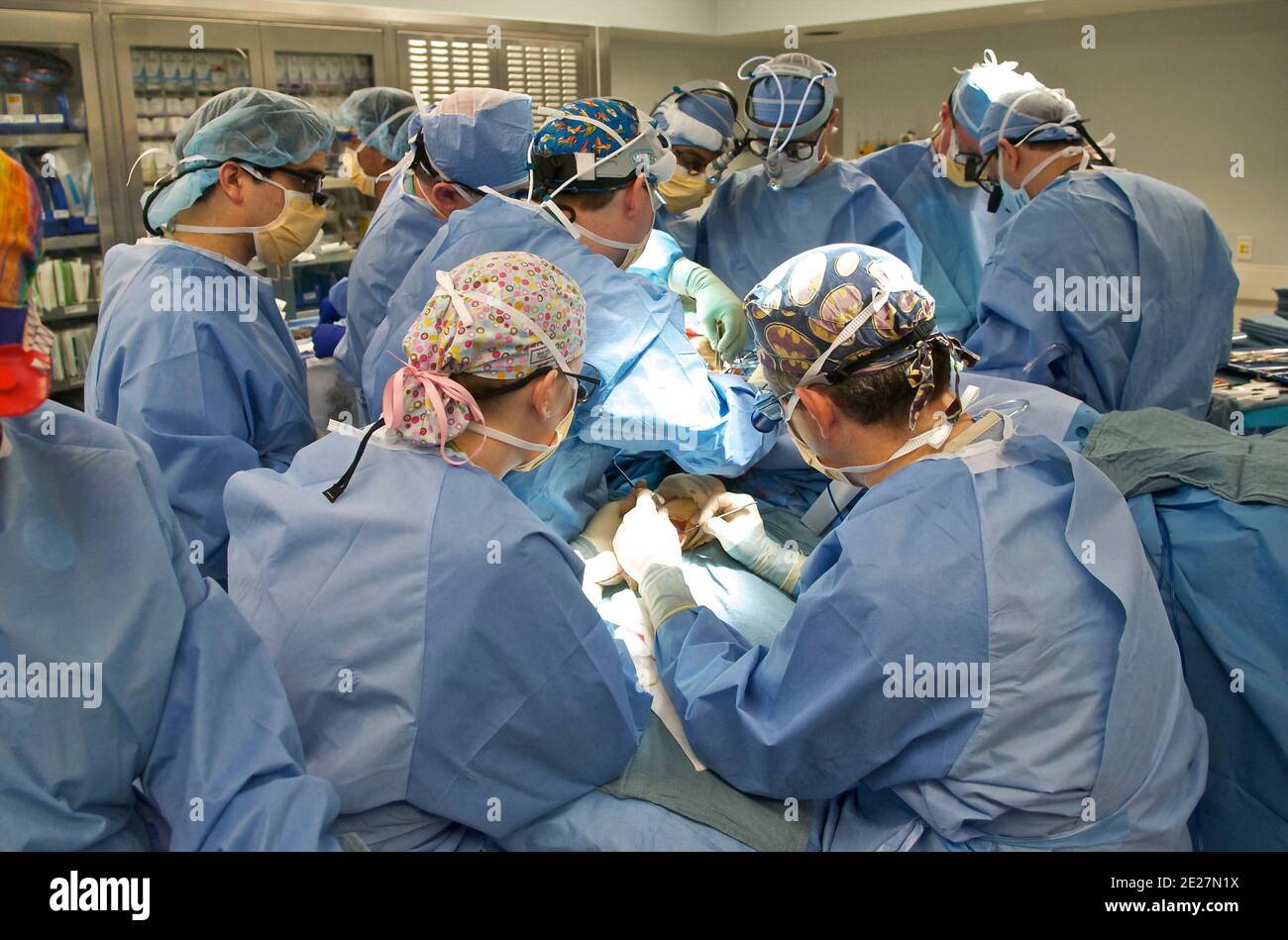 Charla nash hi-res stock photography and images - Alamy