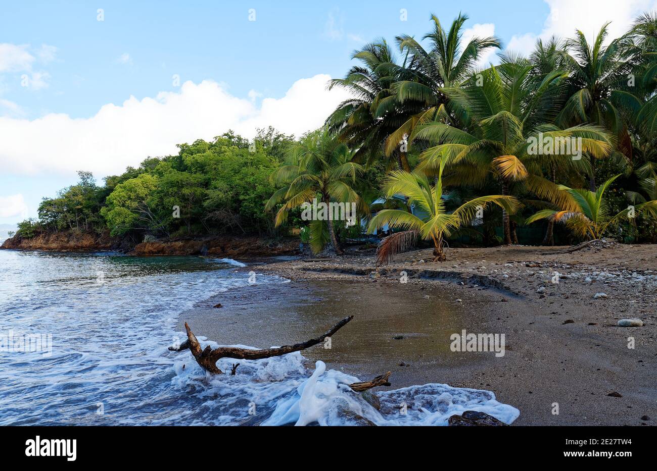 The picturesque Caribbean beach , Martinique island, French West Indies ...