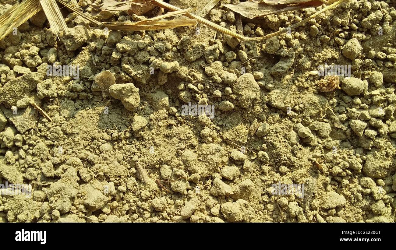 Top view of beige sand soil texture Stock Photo - Alamy
