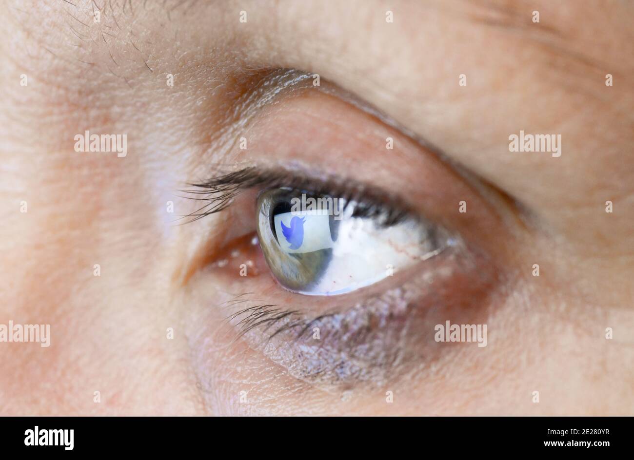 Vogel auge hi-res stock photography and images - Alamy